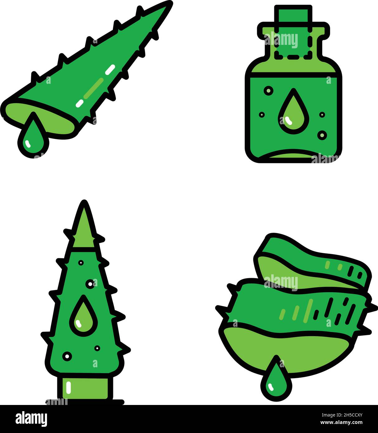 Fresh agava Stock Vector Images - Alamy