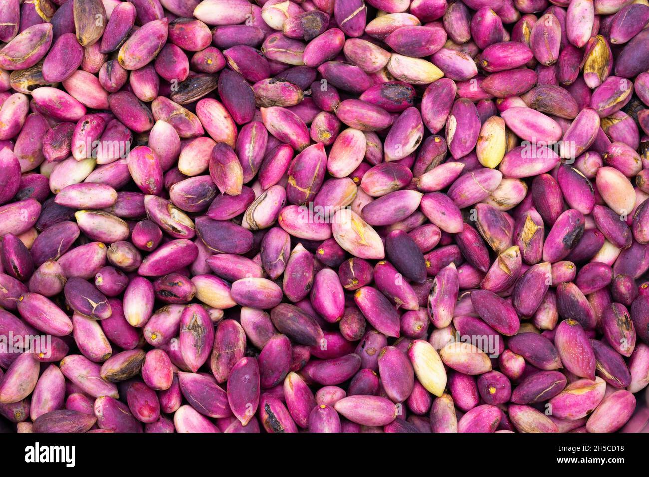 Pistachios with shell hi-res stock photography and images - Alamy