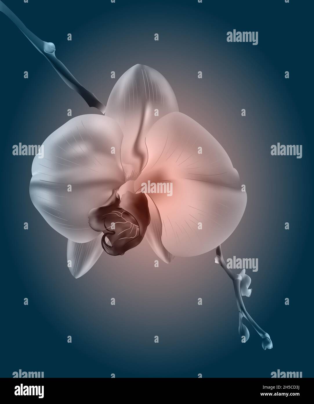 Beautiful orchid flowers. Vintage card. Sad mood Stock Vector Image ...