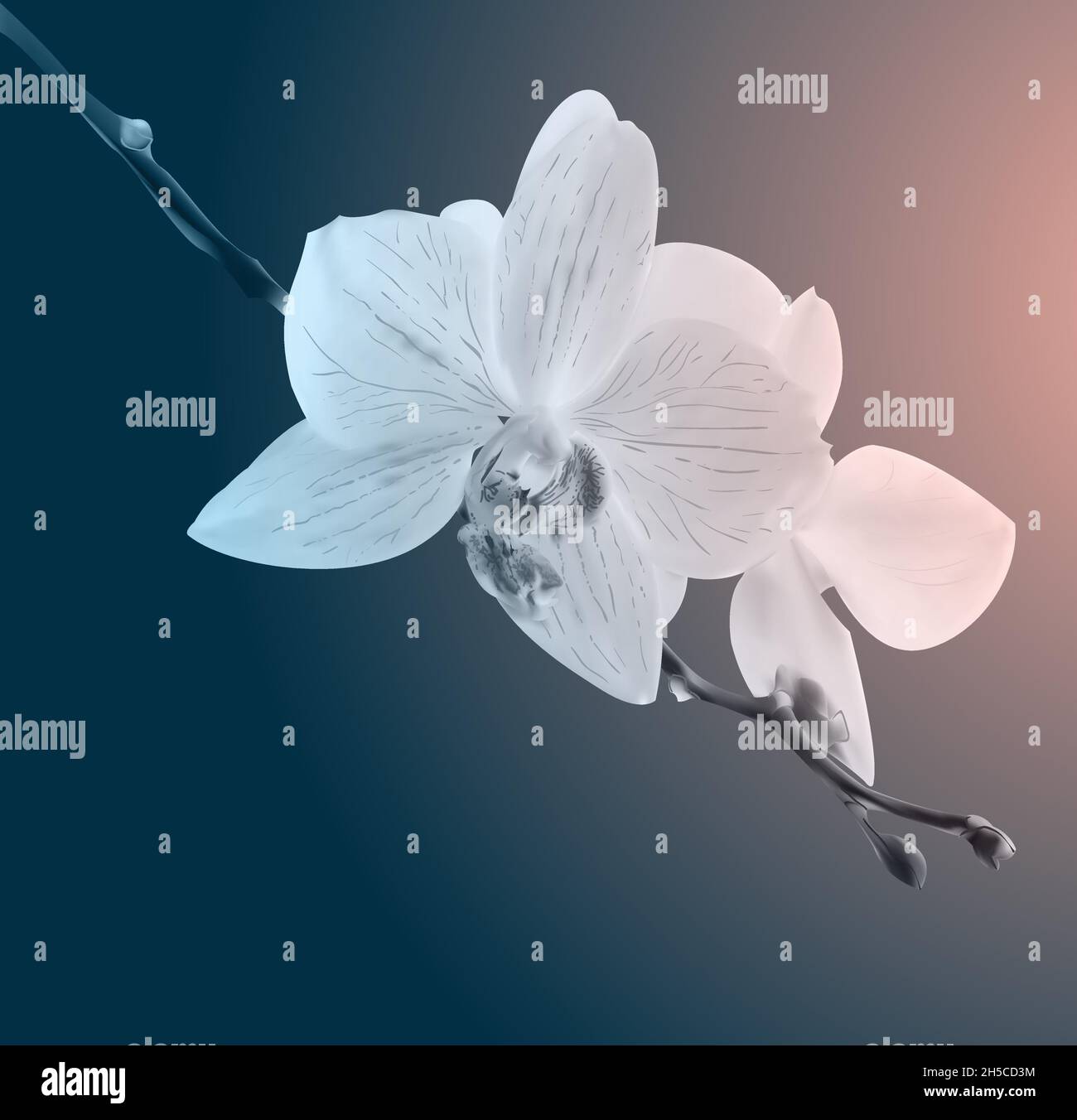 Beautiful orchid flowers. Vintage card. Sad mood Stock Vector Image ...