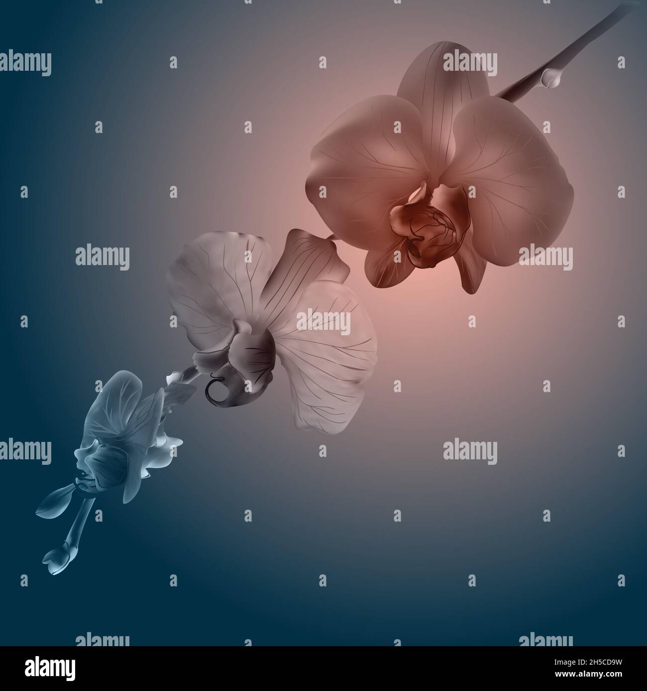 Dying flowers illustration Stock Vector Images - Alamy