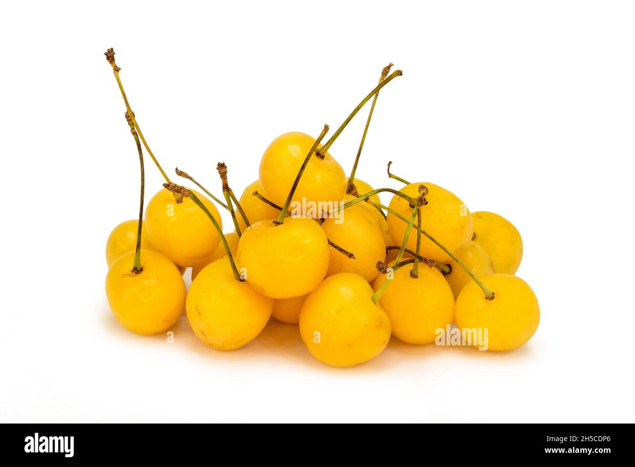 Yellow cherries on isolated white background Stock Photo - Alamy