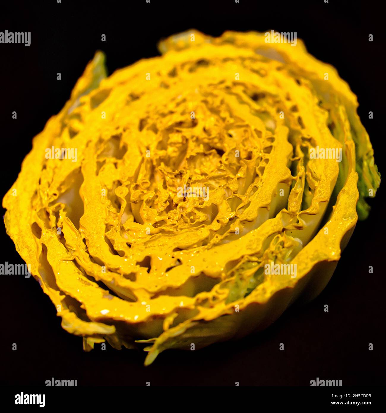 Cut Chinese cabbage colored with yellow paint isolated on a black ...