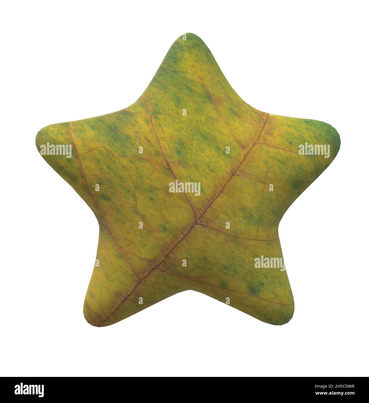 Outer leaf Stock Vector Images - Alamy