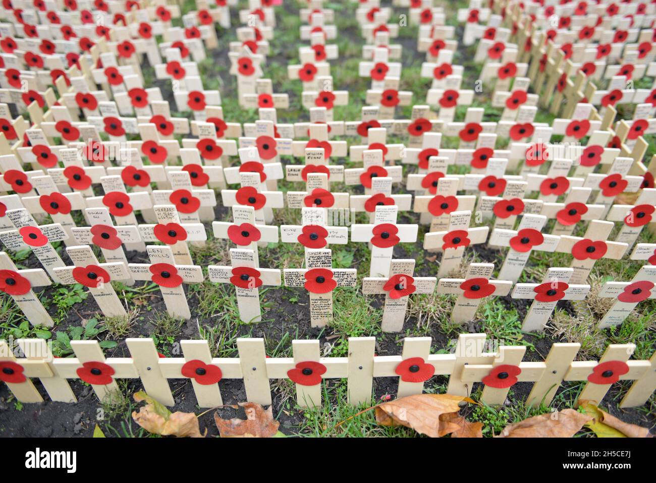 London, UK. 08th Nov, 2021. Westminster Abbey Field of Remembrance. The ...