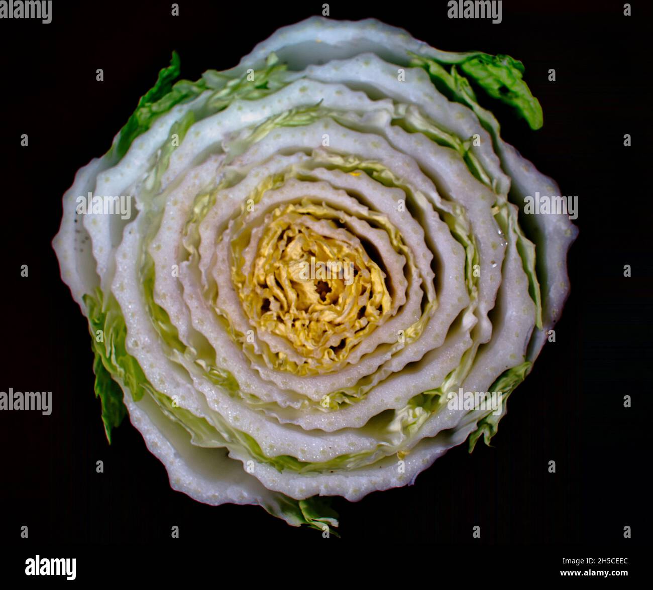 Chinese cabbage cut in half isolated on a black background Stock Photo ...