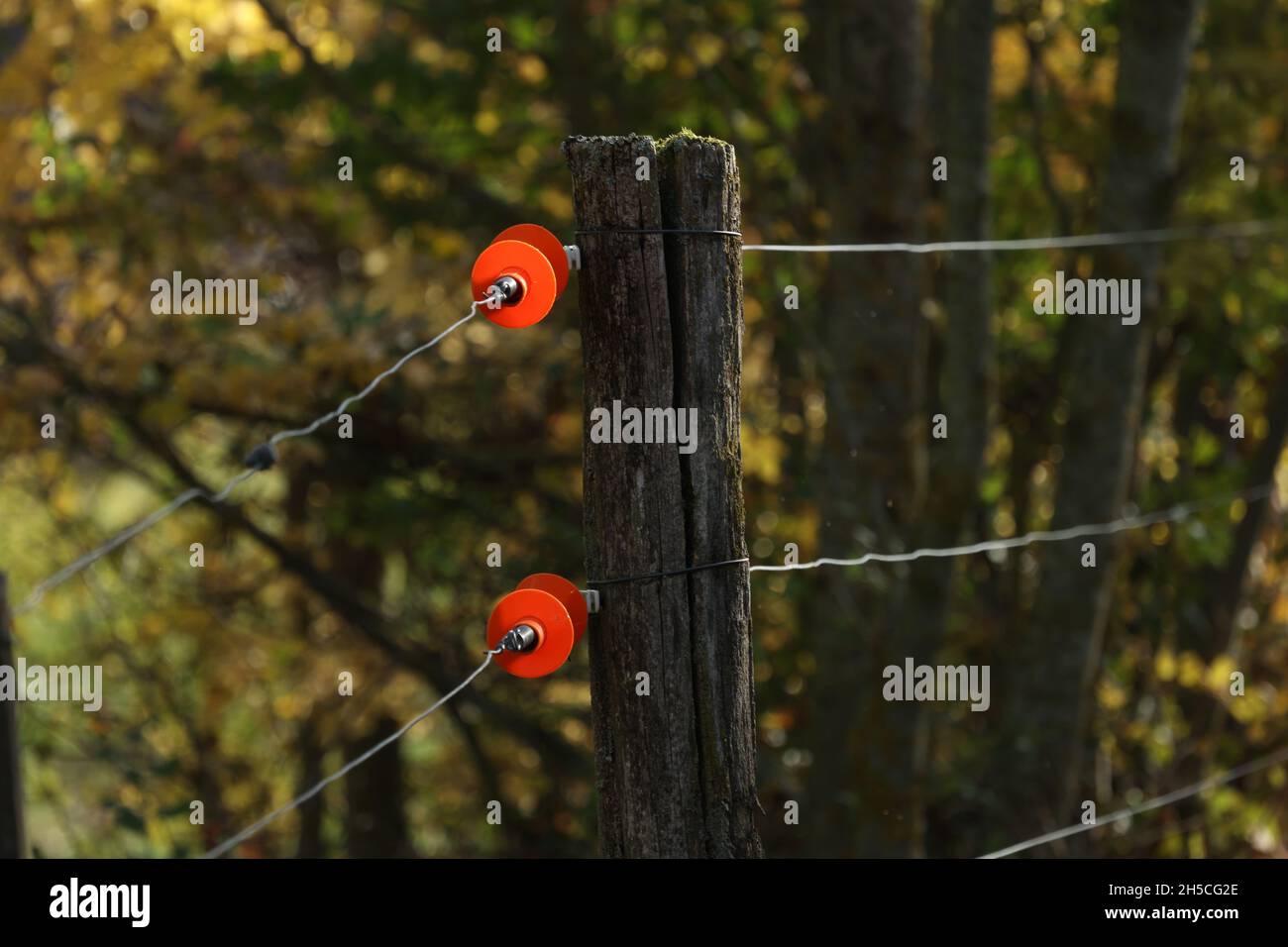 Close up of a electrical wire fence around a pasture Stock Photo - Alamy