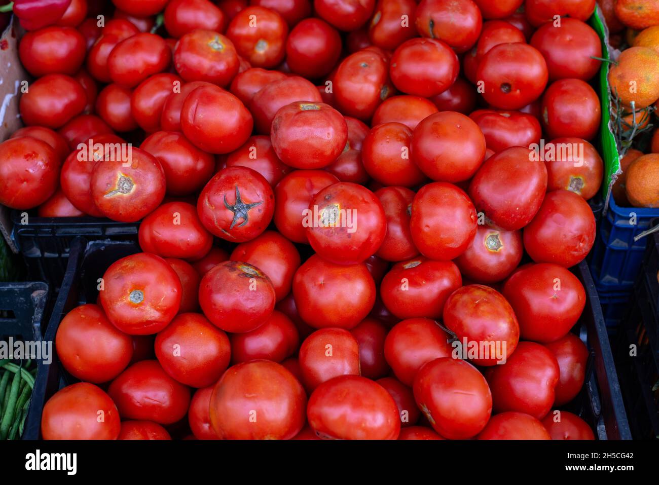 Tomato stand hi-res stock photography and images - Alamy