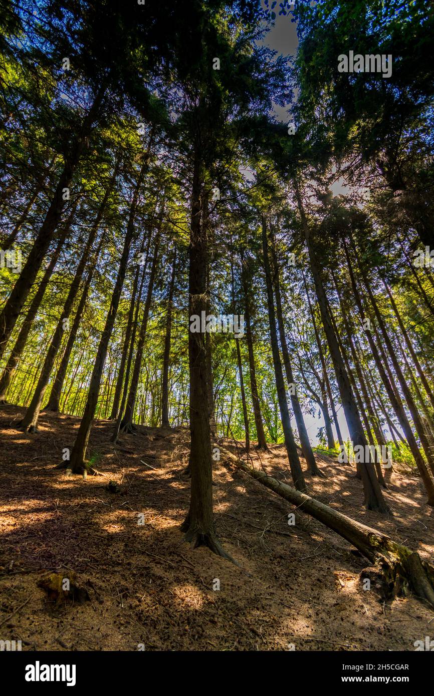Duncton Mill High Resolution Stock Photography and Images - Alamy
