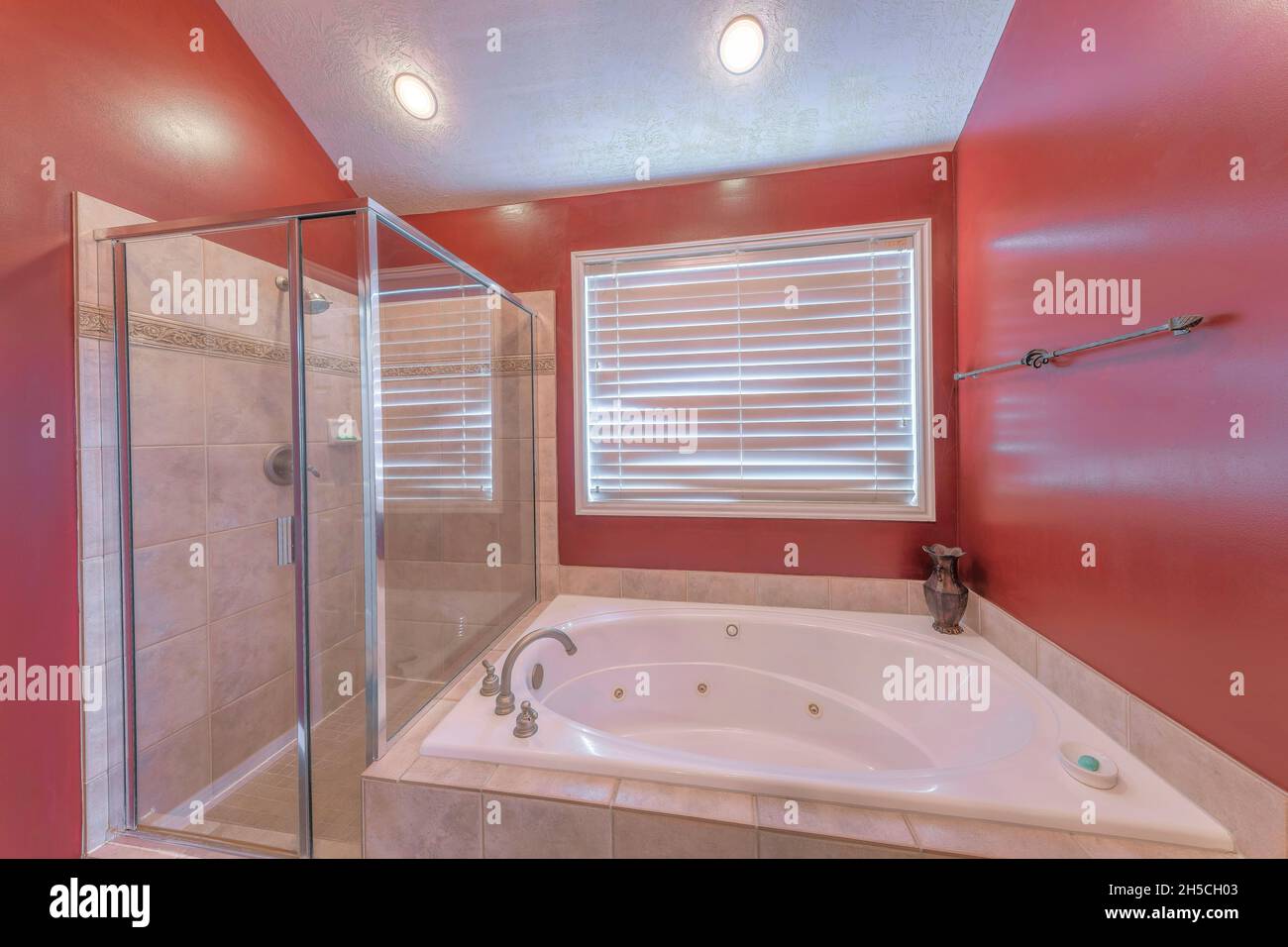 Red bathroom interior with shower stall and drop in bathtub with ...