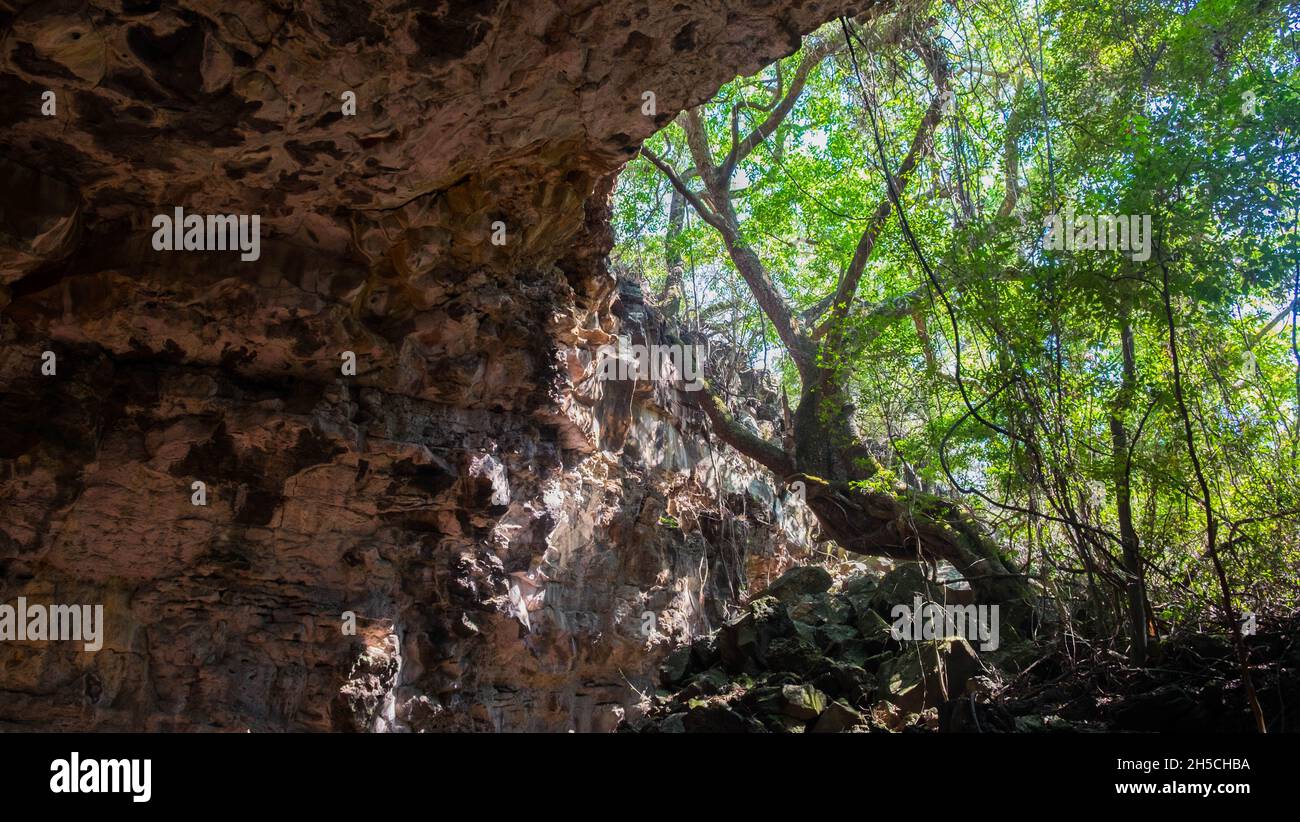 Undara Lava Tubes, Queensland, Australia Stock Photo - Alamy