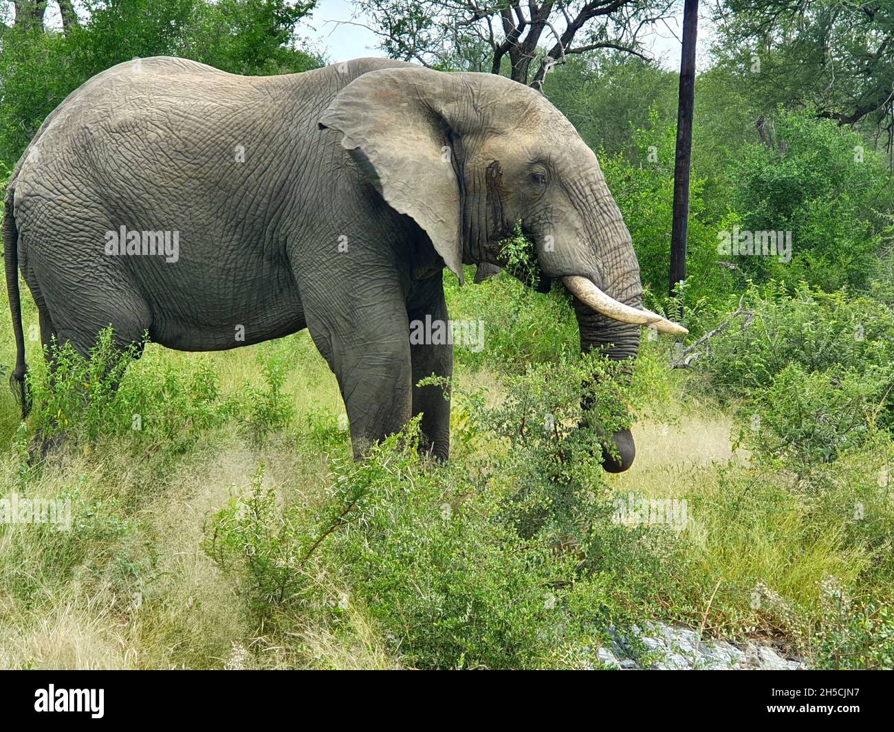 Lake swaziland national park hi-res stock photography and images - Alamy