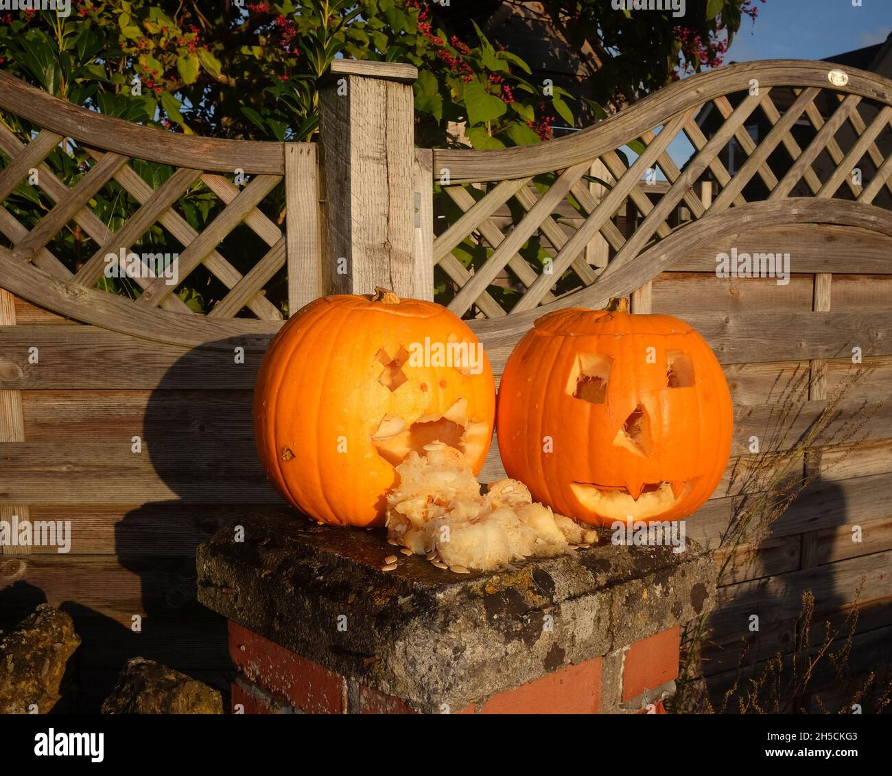 November 2021 - Halloween pumpkins with carved faces Stock Photo - Alamy