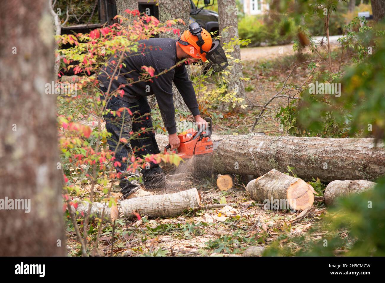Northeaster cape cod hi-res stock photography and images - Alamy