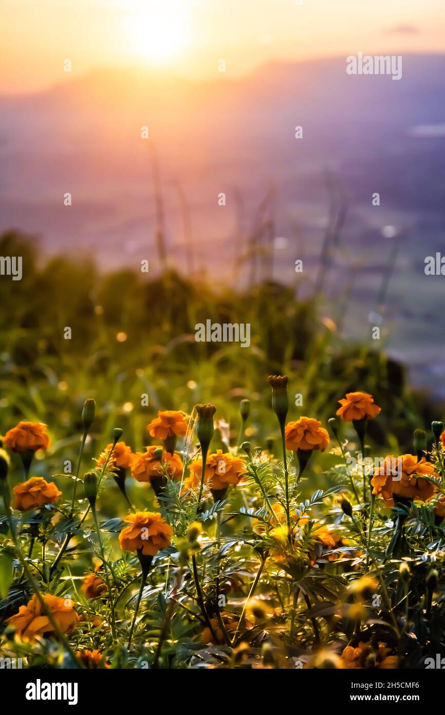 sunset in the mountains landscape , Thailand Stock Photo - Alamy