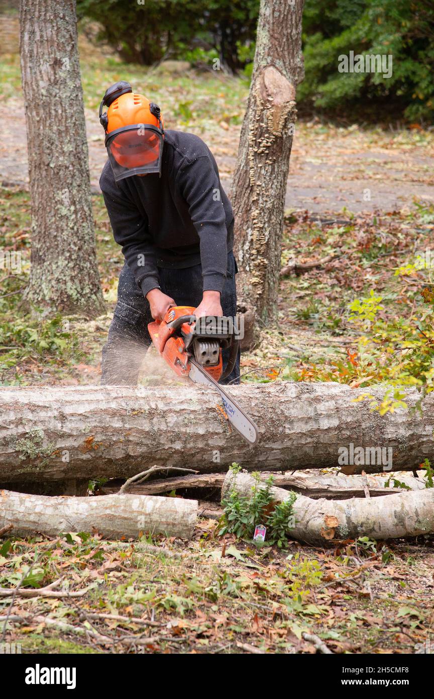 Workers cleaning up damage hi-res stock photography and images - Alamy