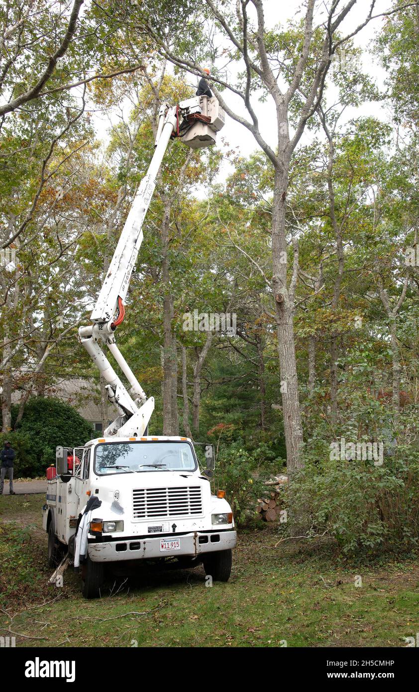 A worker in a bucket cleans up tree damage following a Northeaster ...