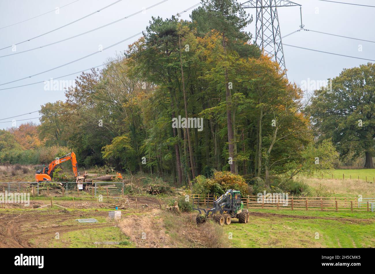 Aylesbury Vale, UK. 8th November, 2021. HS2 were today removing tree ...
