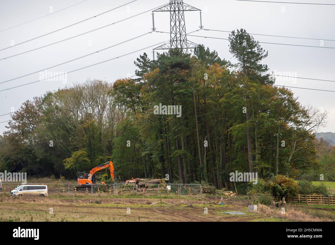 Ancient woodland uk deforestation hi-res stock photography and images ...