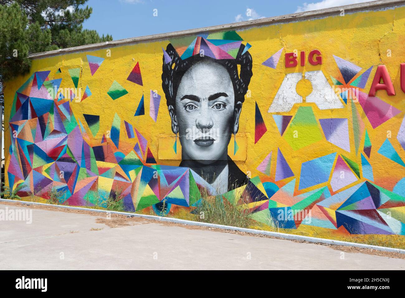 Frida kahlo mural frida kahlo hi-res stock photography and images - Alamy
