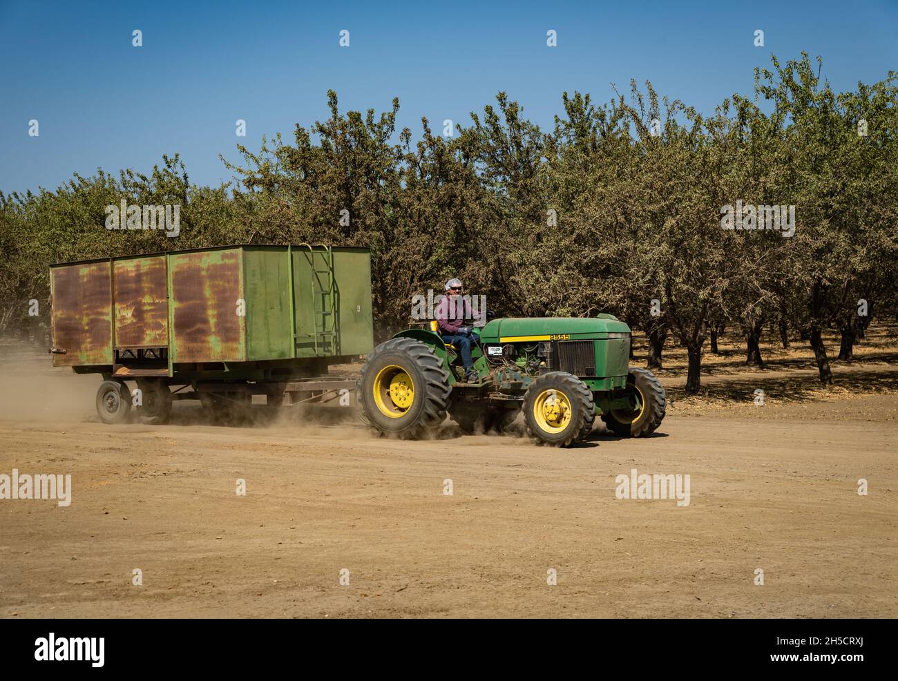 Photo of a tractor with driver pulling a metal trailer with almond ...
