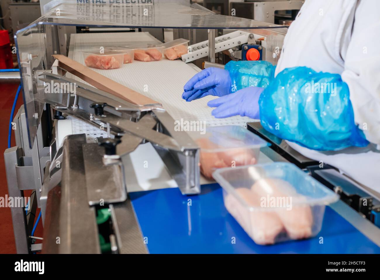 Line for the production of semi-finished meat products.Meat processing ...