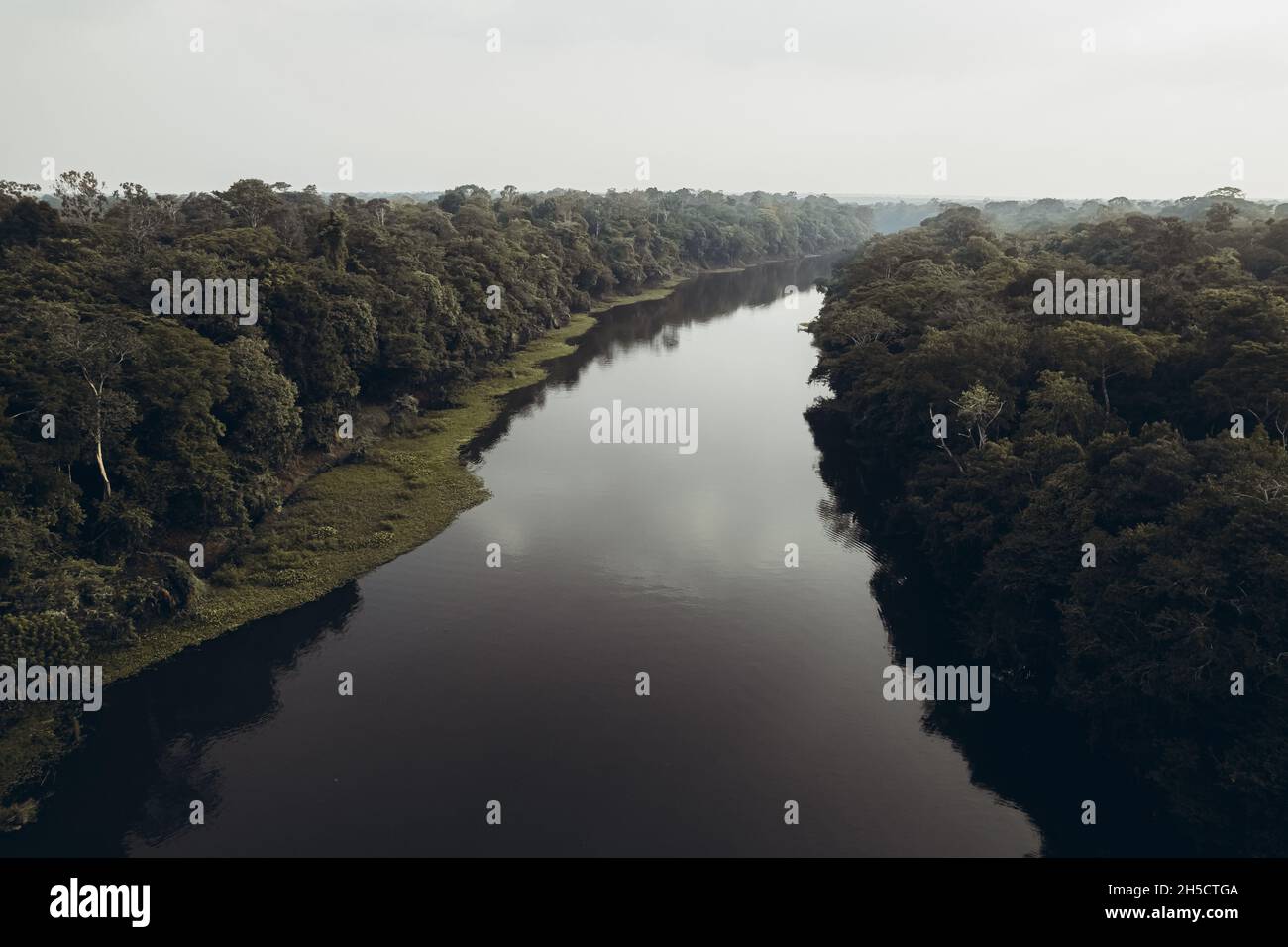 Riverbed and jungle Stock Photo - Alamy