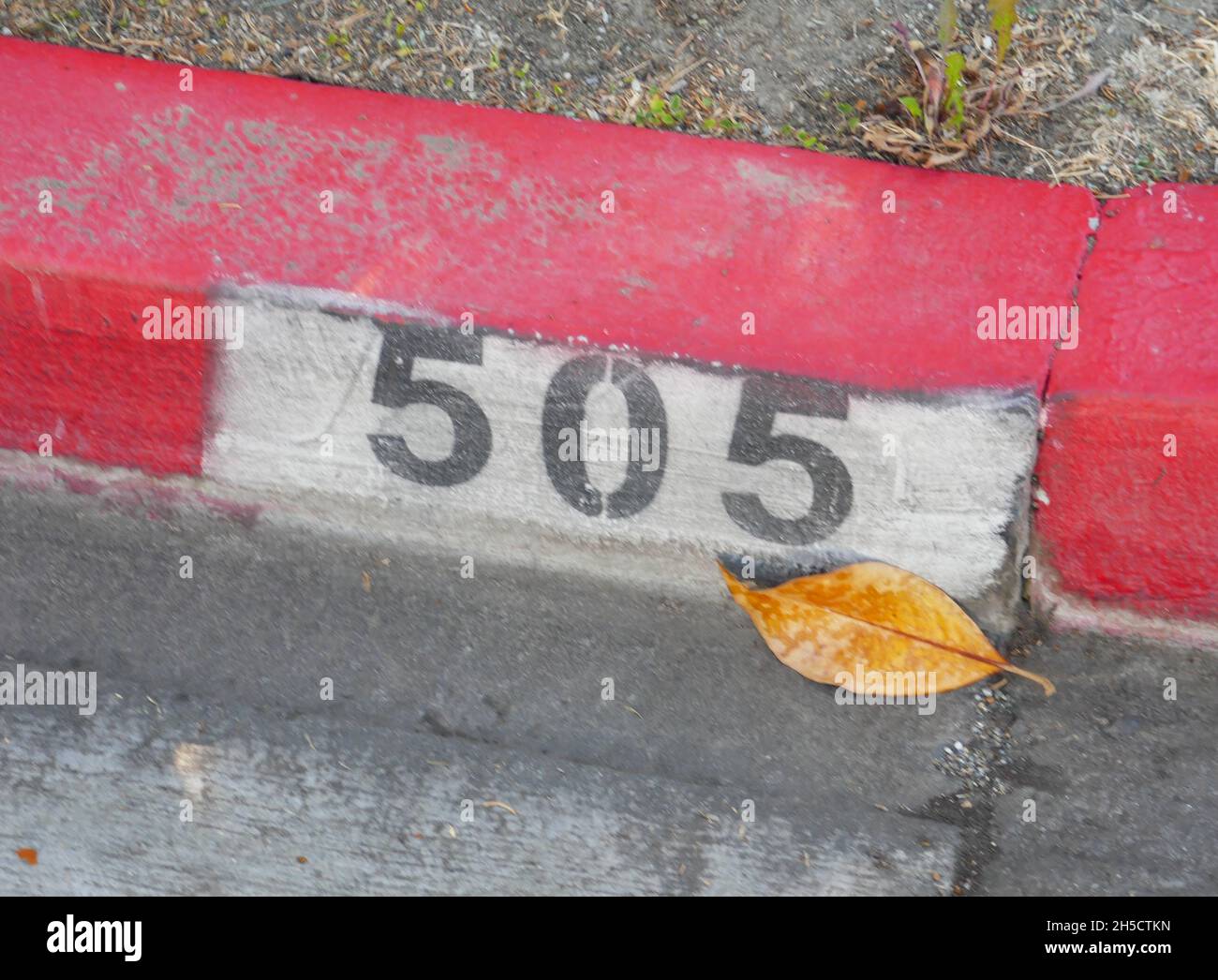 Lynn loring hi-res stock photography and images - Alamy