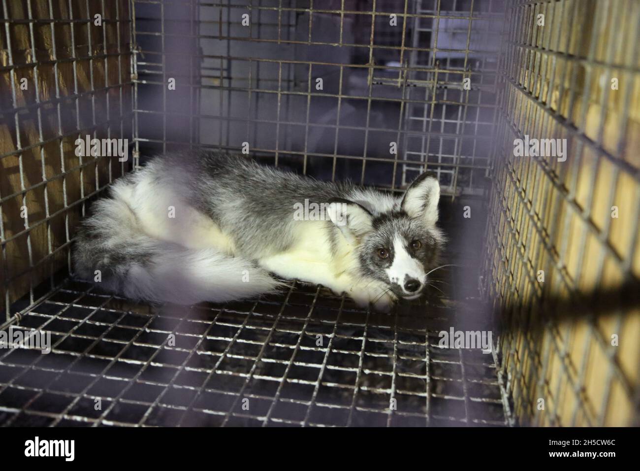 Coloured bars hi-res stock photography and images - Alamy