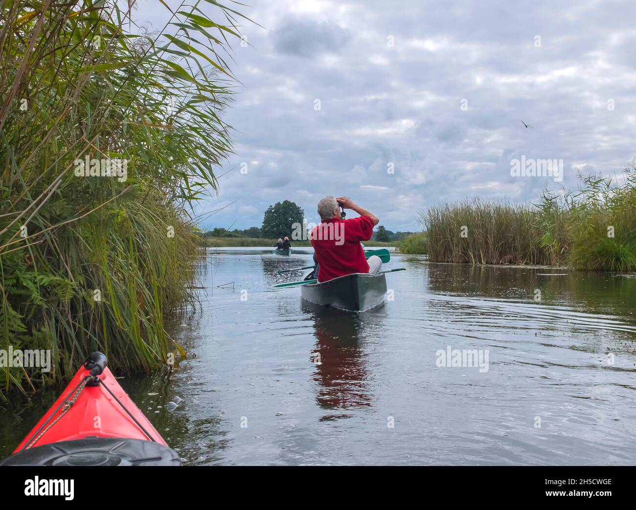 paddling on lake Sternberger See, bird watching, Germany, Mecklenburg ...