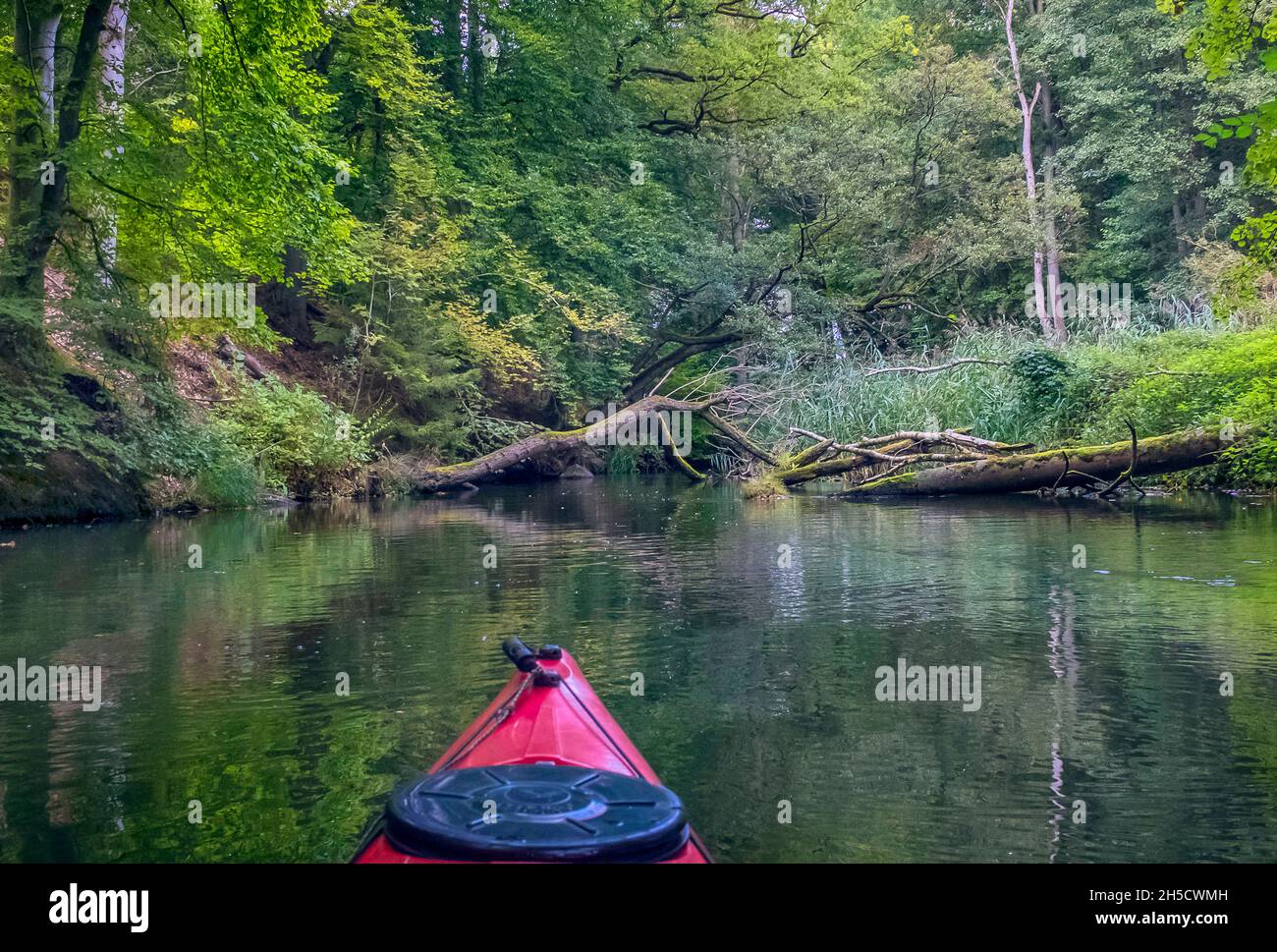 Mildenitz river hi-res stock photography and images - Alamy
