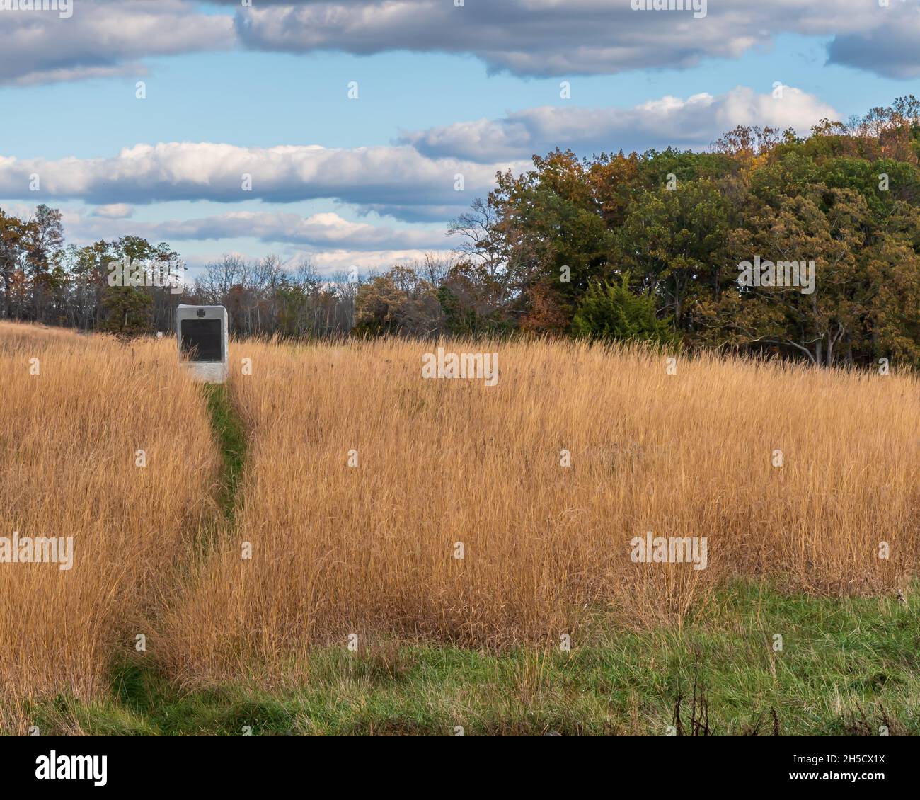 Wheatfield gettysburg hi-res stock photography and images - Alamy