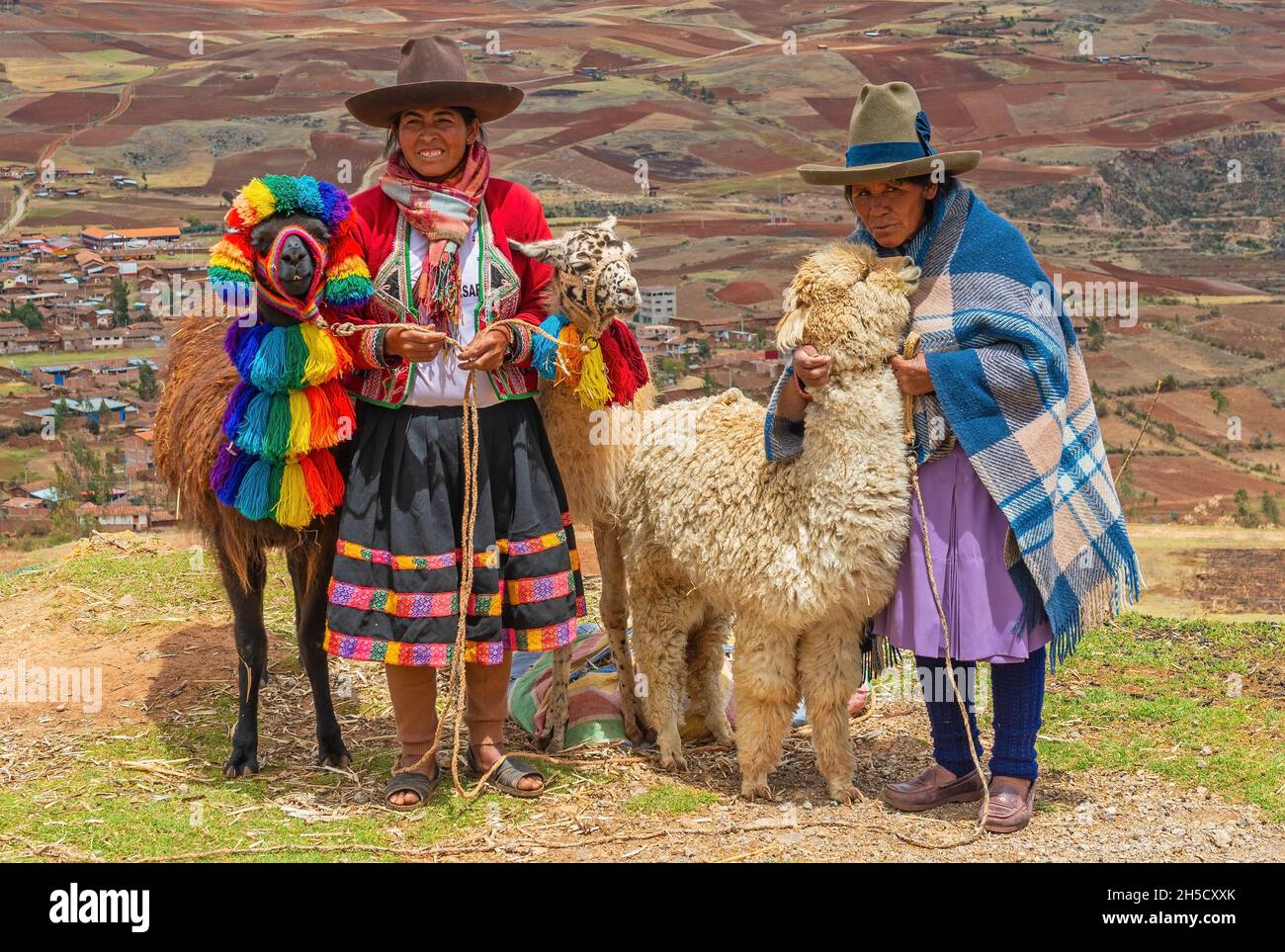 Peru indigenous tribe llama hi-res stock photography and images - Alamy