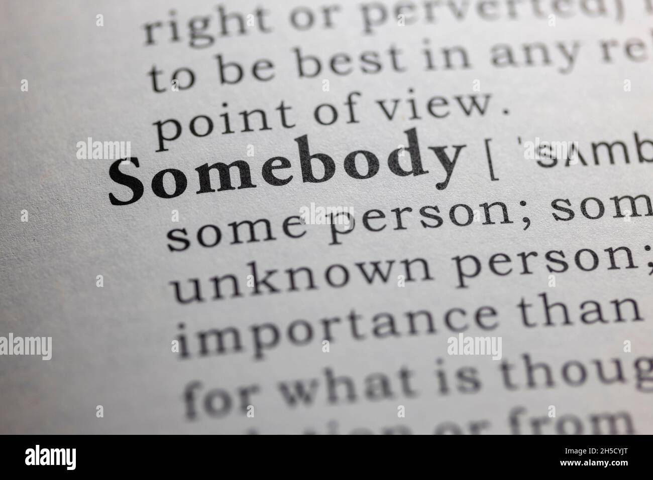 Fake Dictionary word, Dictionary definition of somebody Stock Photo - Alamy