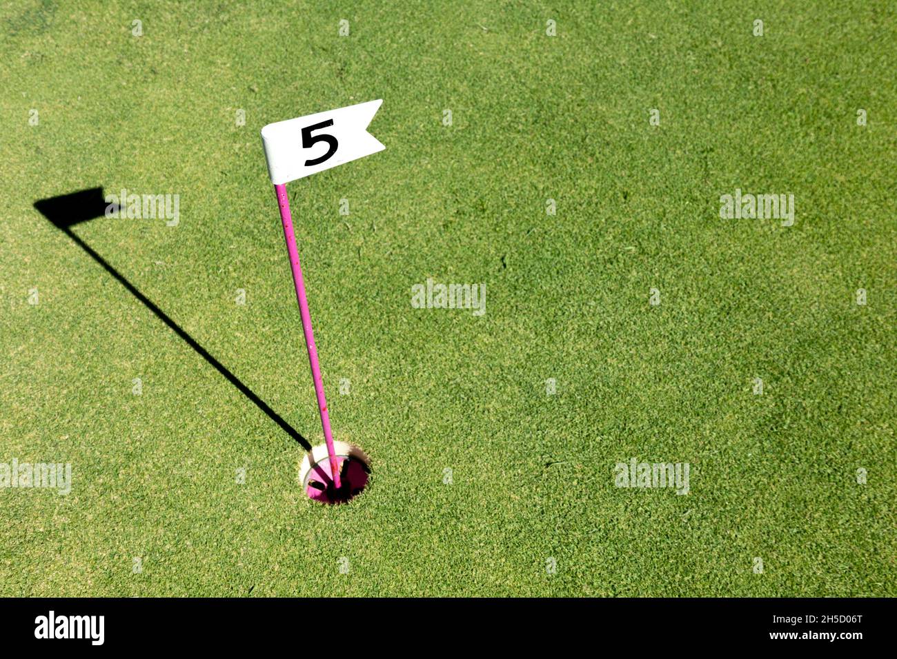 Hole marked with small flag at the mini golf area. Number flag on a ...