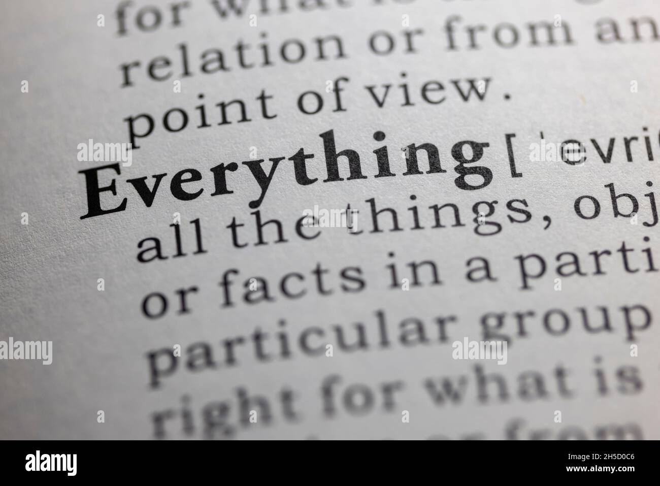 Fake Dictionary word, Dictionary definition of everything Stock Photo ...