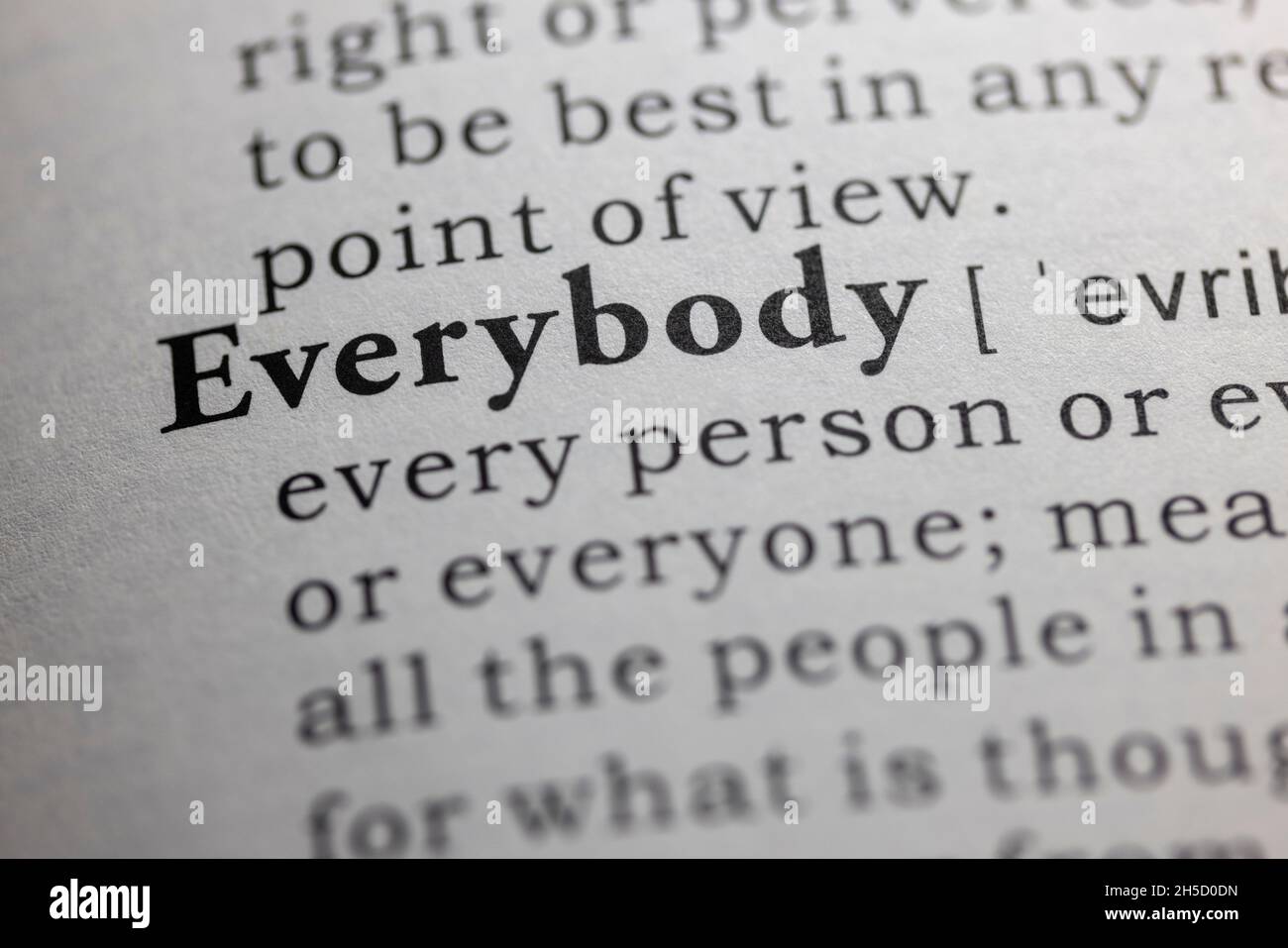 Fake Dictionary word, Dictionary definition of everybody Stock Photo ...