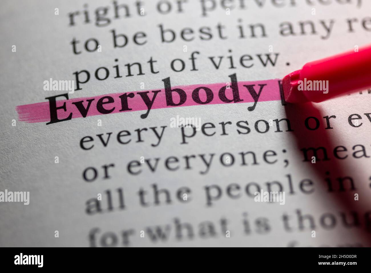 Fake Dictionary word, Dictionary definition of everybody Stock Photo ...