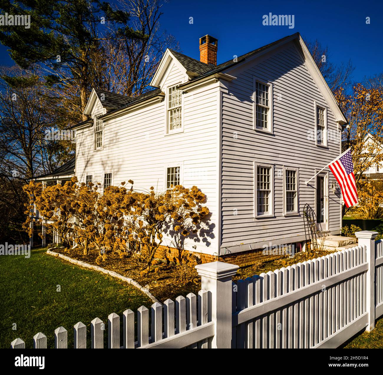 Norfolk maple hi-res stock photography and images - Alamy