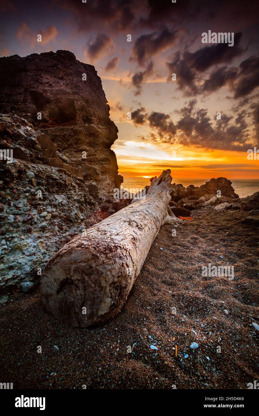 Log on the rocks near the Baltic sea on the sunset Stock Photo - Alamy
