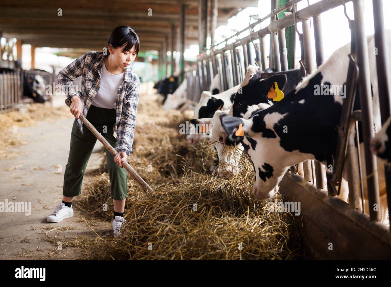 Portrait active chinese female hi-res stock photography and images - Alamy