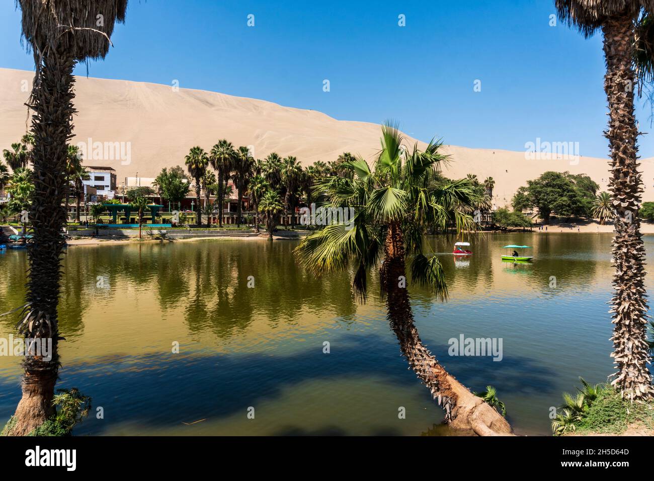 The Laguna de Huacachina regional conservation area, Ica, Peru Stock ...