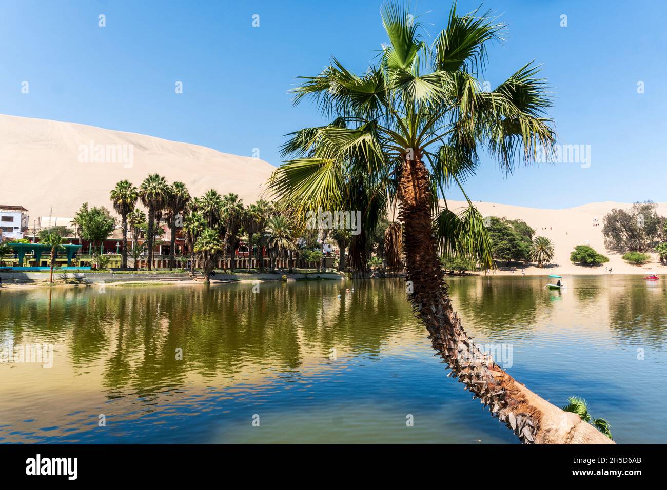The Laguna de Huacachina regional conservation area, Ica, Peru Stock ...