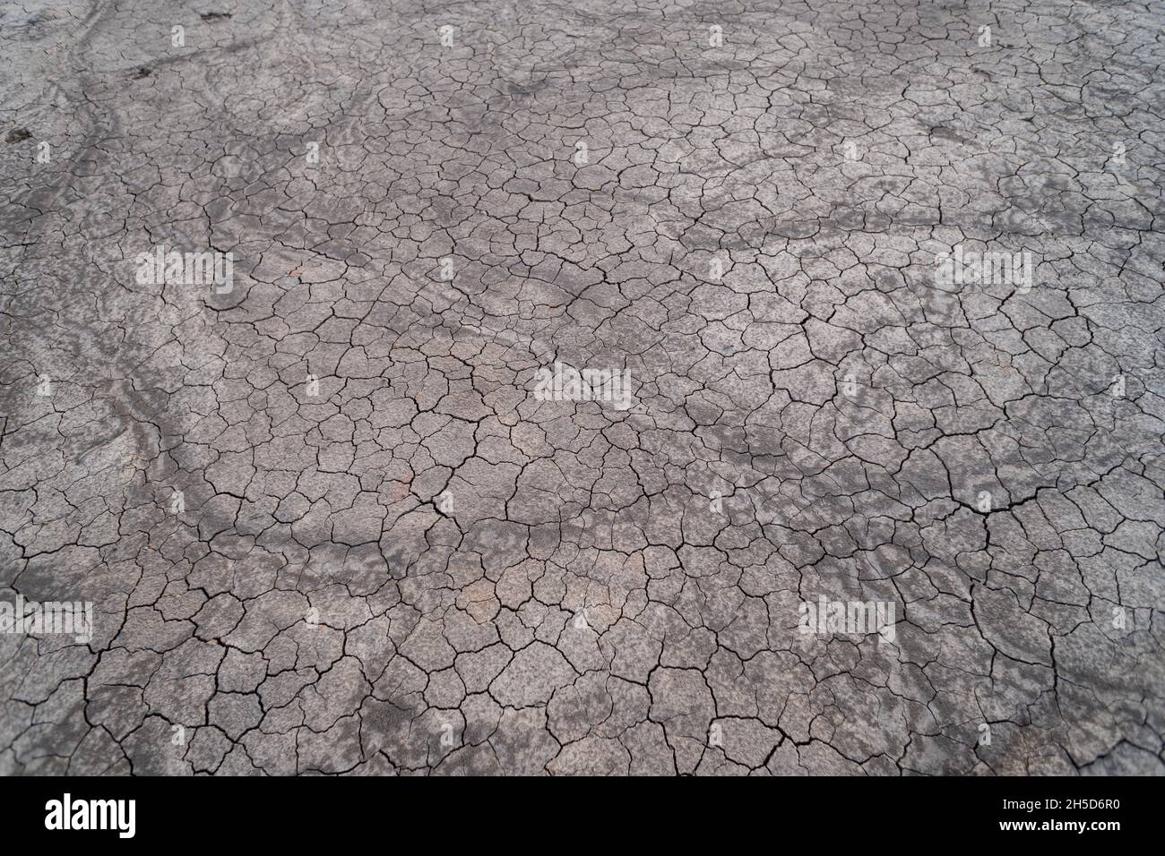 Ground dry cracked soil texture background Stock Photo - Alamy