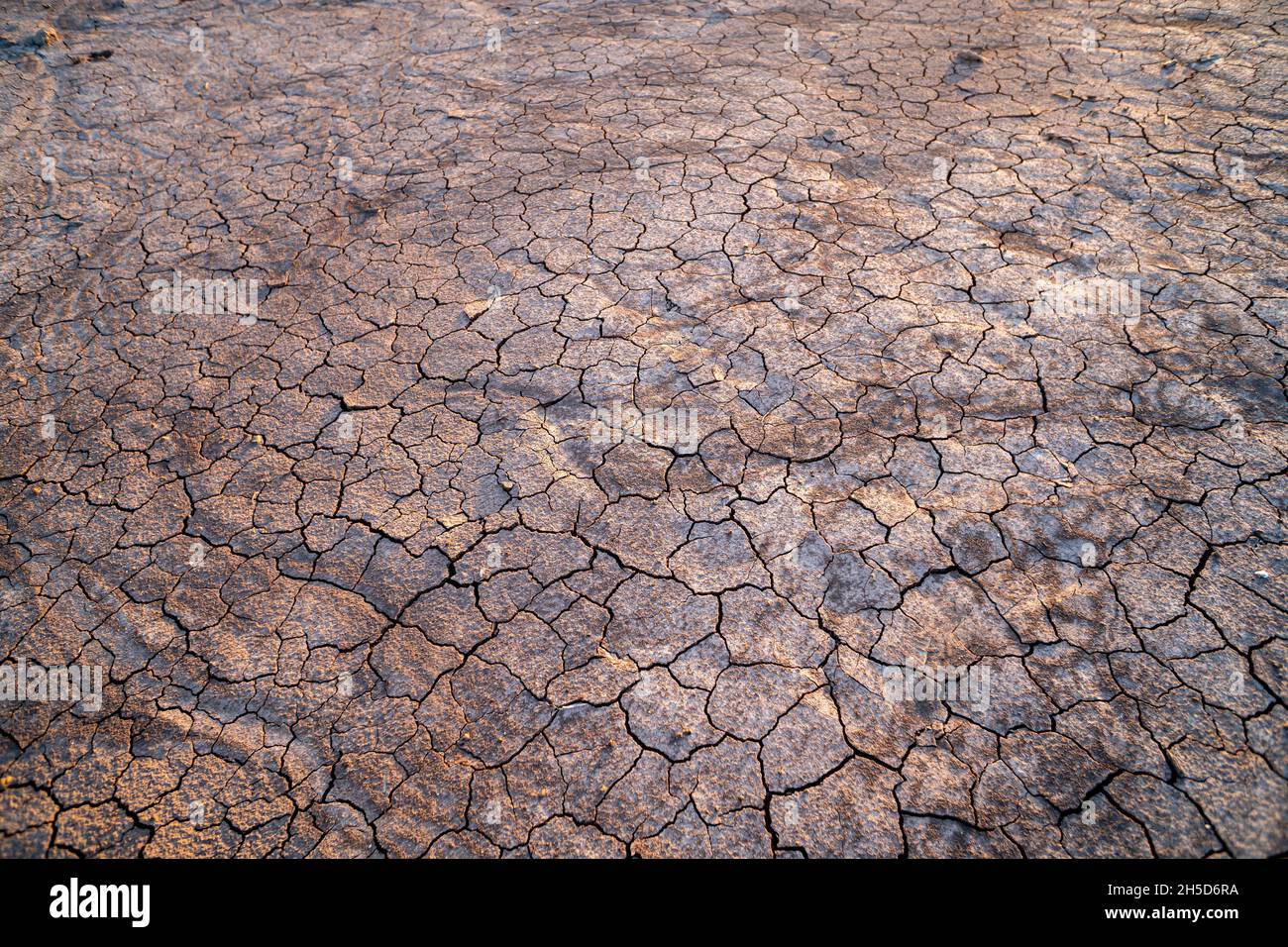 Ground dry cracked soil texture background Stock Photo - Alamy