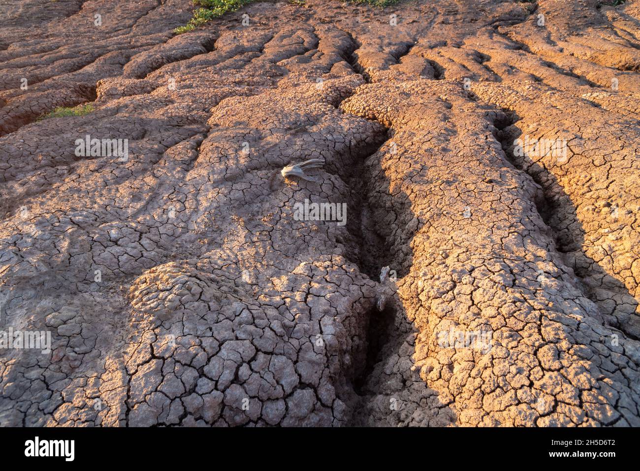 Ground dry cracked soil texture background Stock Photo - Alamy