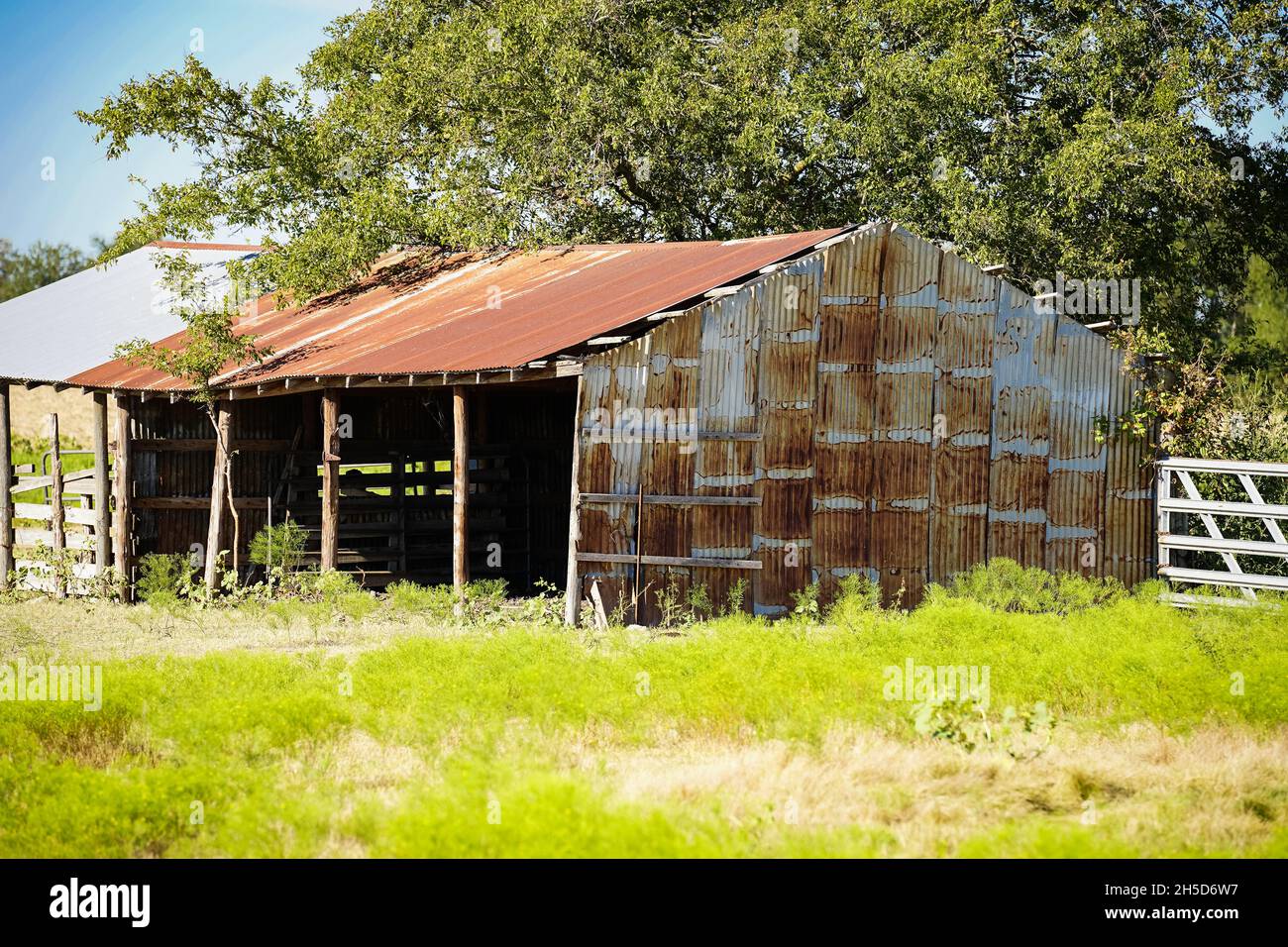 Old Dilapidated Barn in Texas with Rusty Tin Stock Photo - Alamy