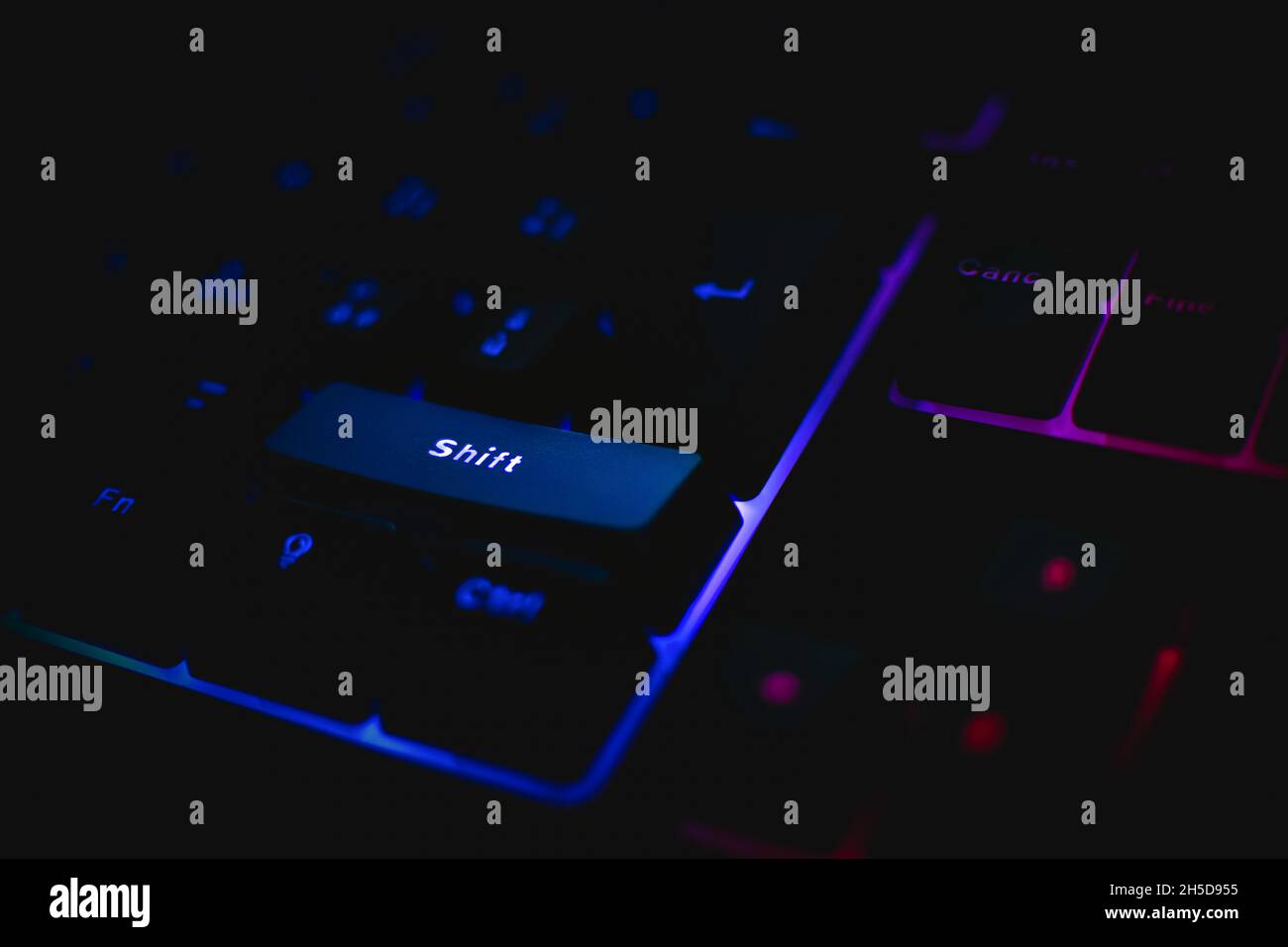 Mechanical Mouse Diagram