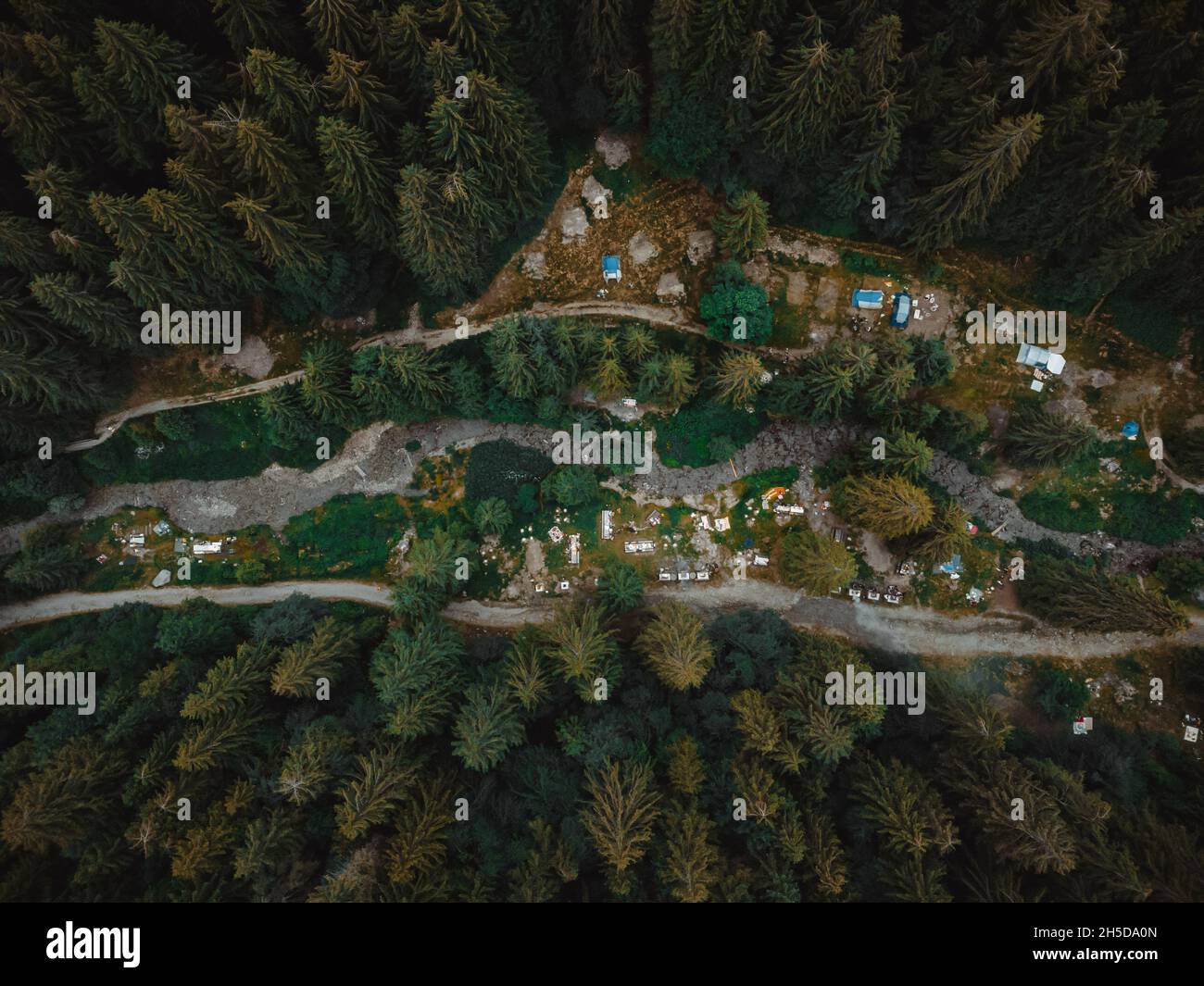 Italian forest hi-res stock photography and images - Alamy