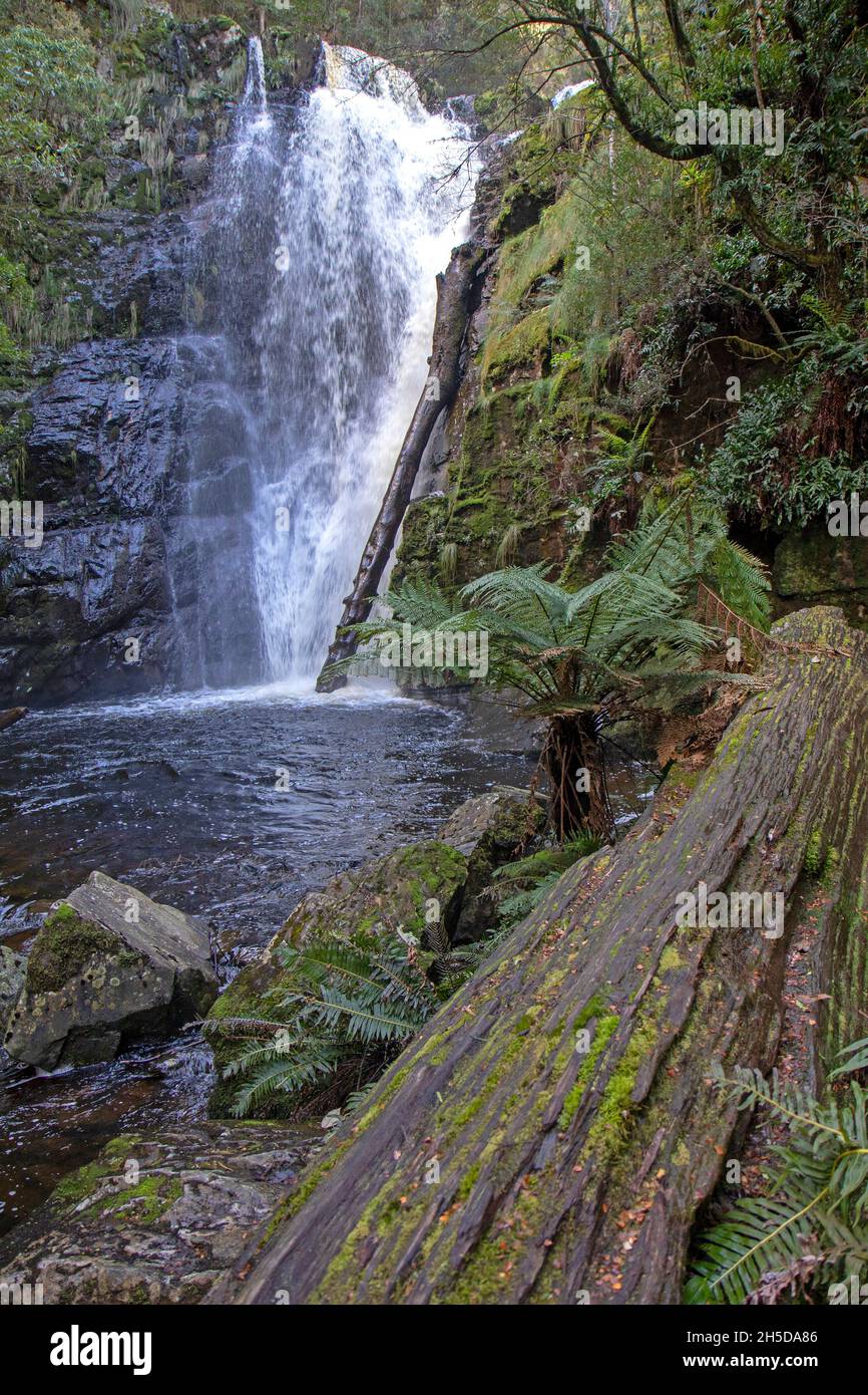 Mathinna hi-res stock photography and images - Alamy